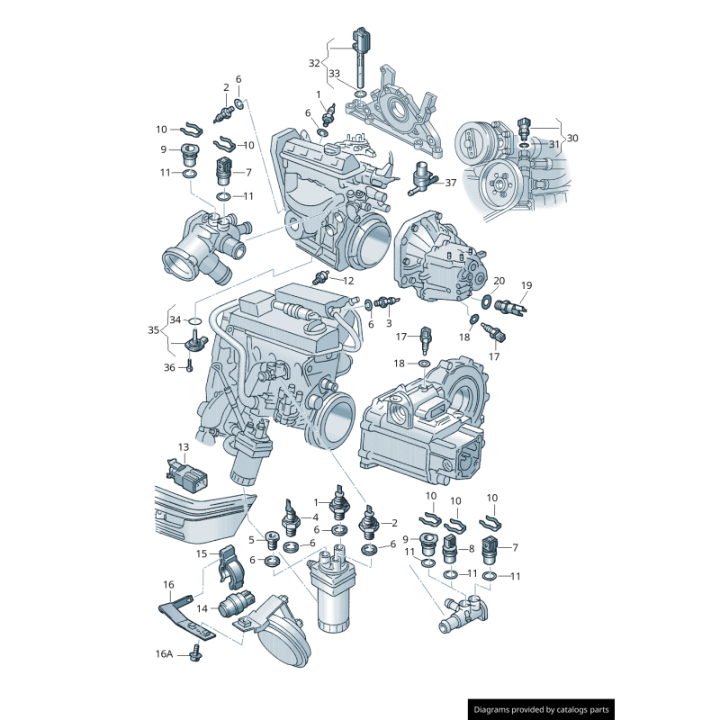 Interrupteur Pression d'Huile Vert - Pièces VW/Audi 036919081D